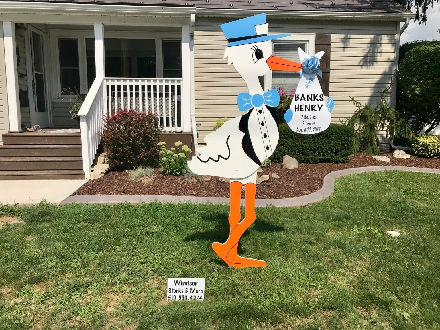 Boy Stork Yard Announcement – Essex, Ontario – Windsor Storks and More