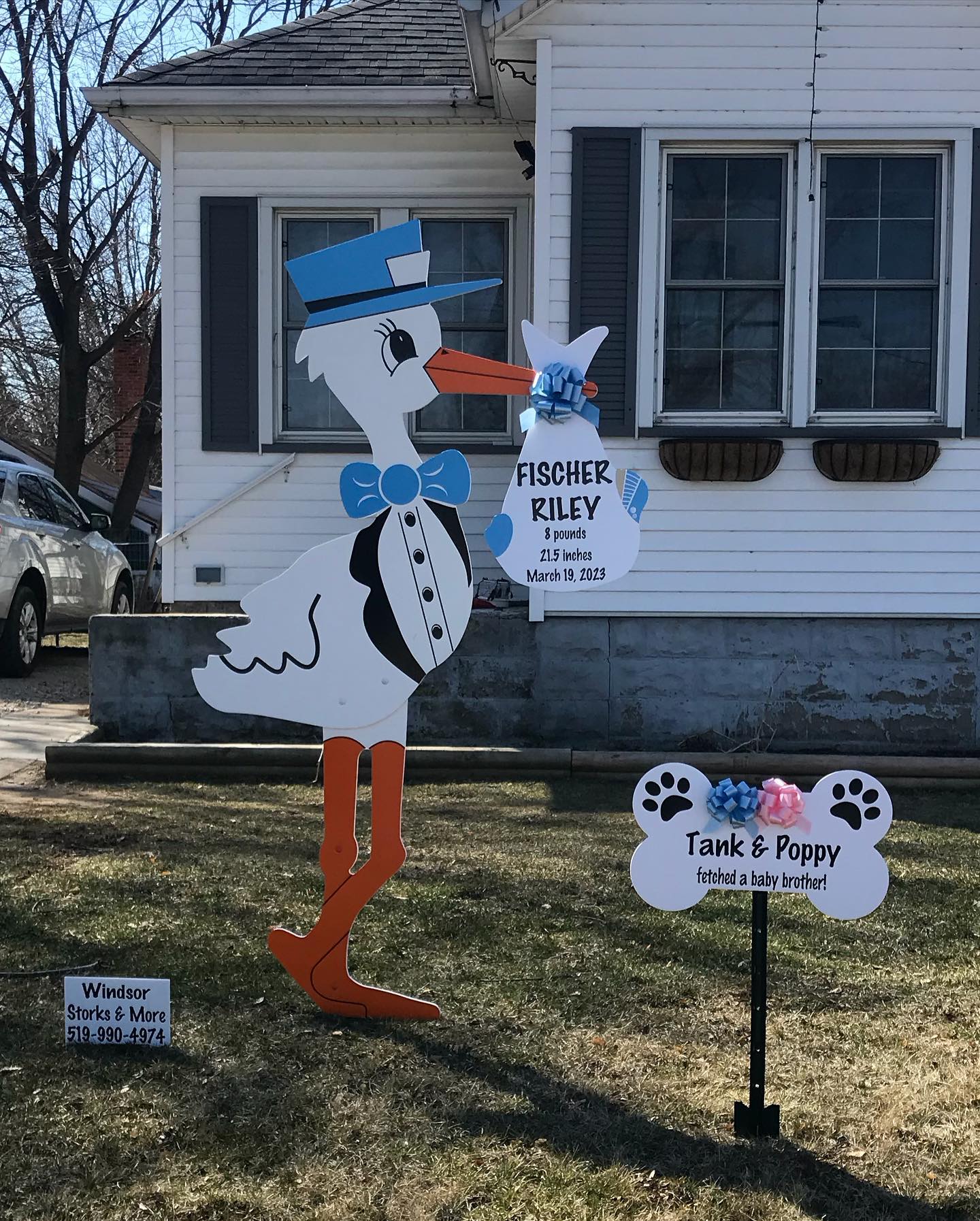 Baby Stork Signs with Pet Sign – Harrow, Ontario – Windsor Storks and More